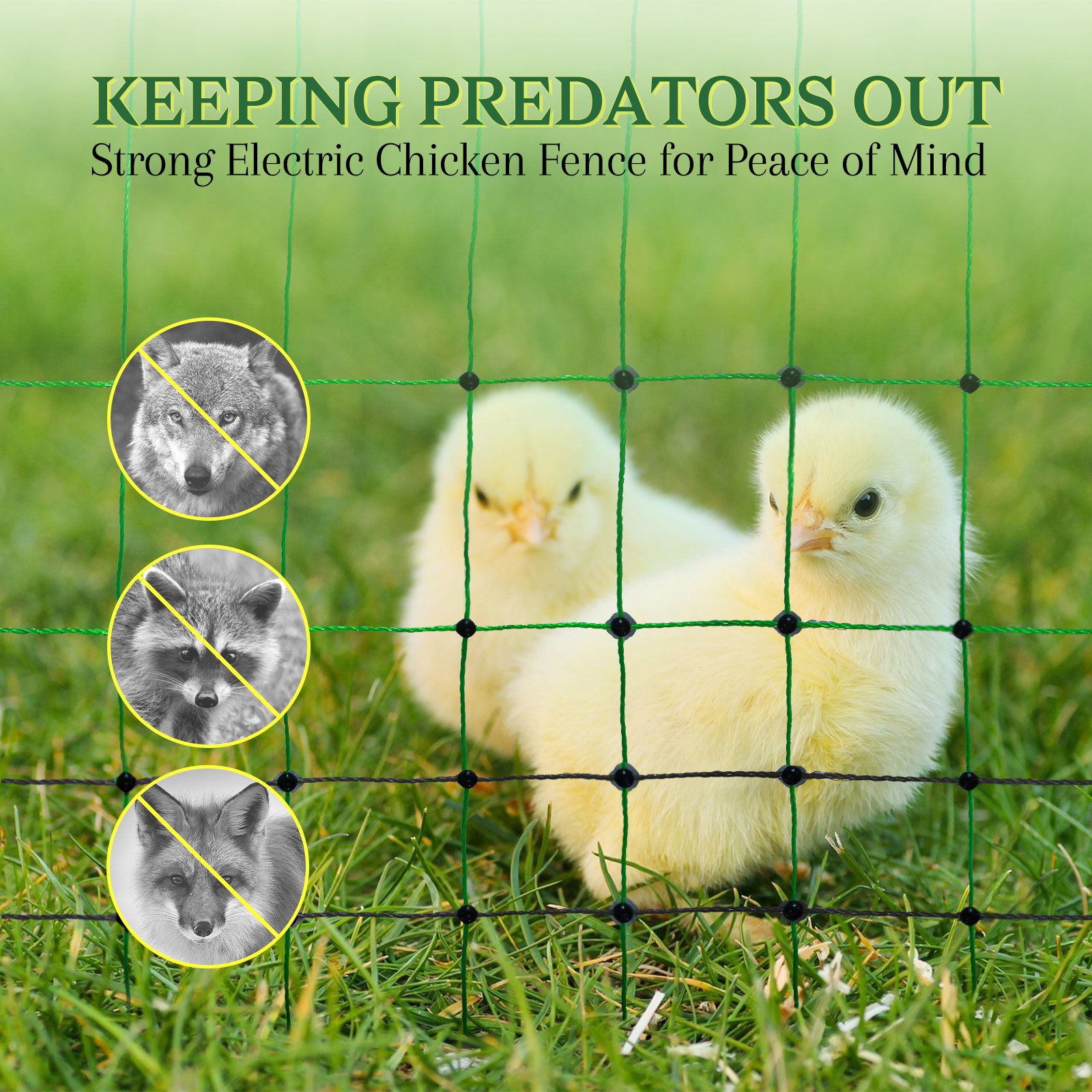 Poultry Netting - ANDMON ELECTRONICS